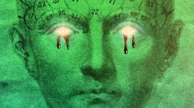 The Green Neck System - Artefake